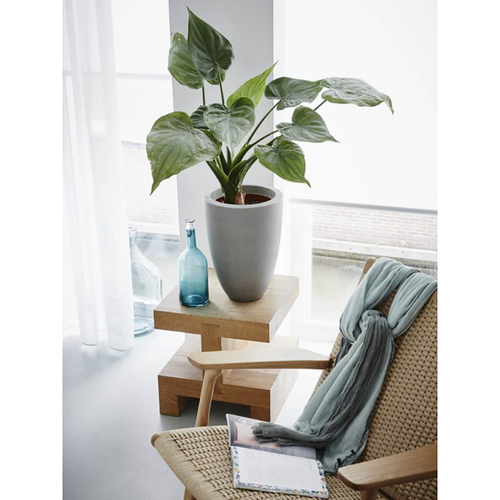 Capi Urban Elegant Vase Low Smooth Planter - Dark Grey | AuthenTEAK