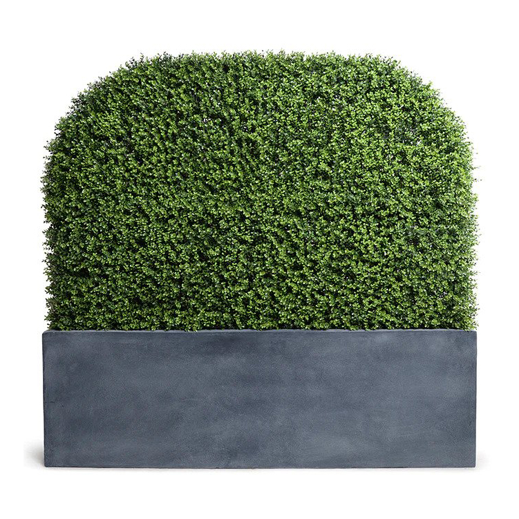 Enduraleaf 65" Faux Boxwood Arc Hedge in Planter | AuthenTEAK