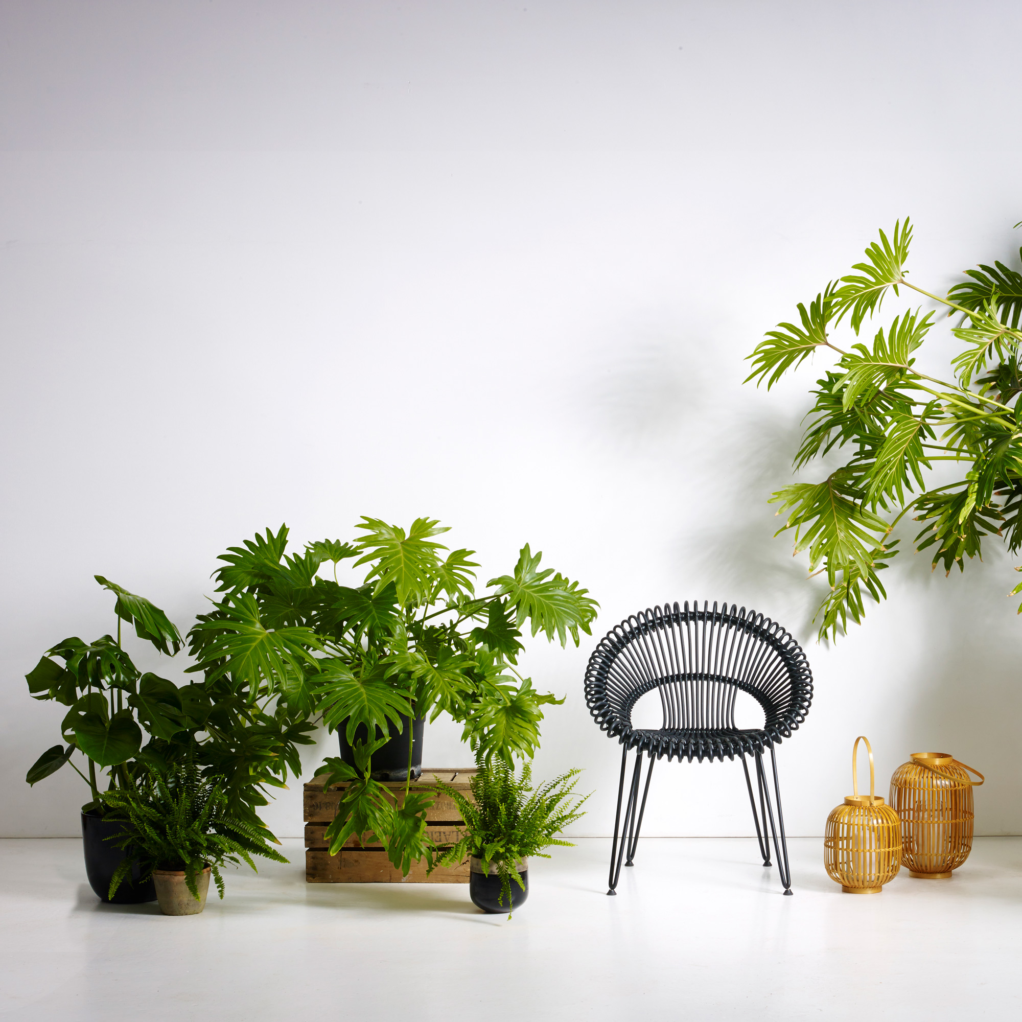 Vincent Sheppard Roxy Aluminum Dining Side Chair | AuthenTEAK