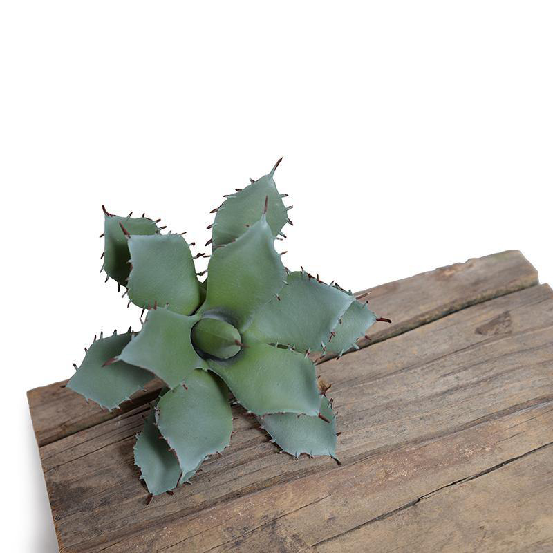Enduraleaf Faux Agave Parrasanna Succulent Pick - Set of 24 | AuthenTEAK
