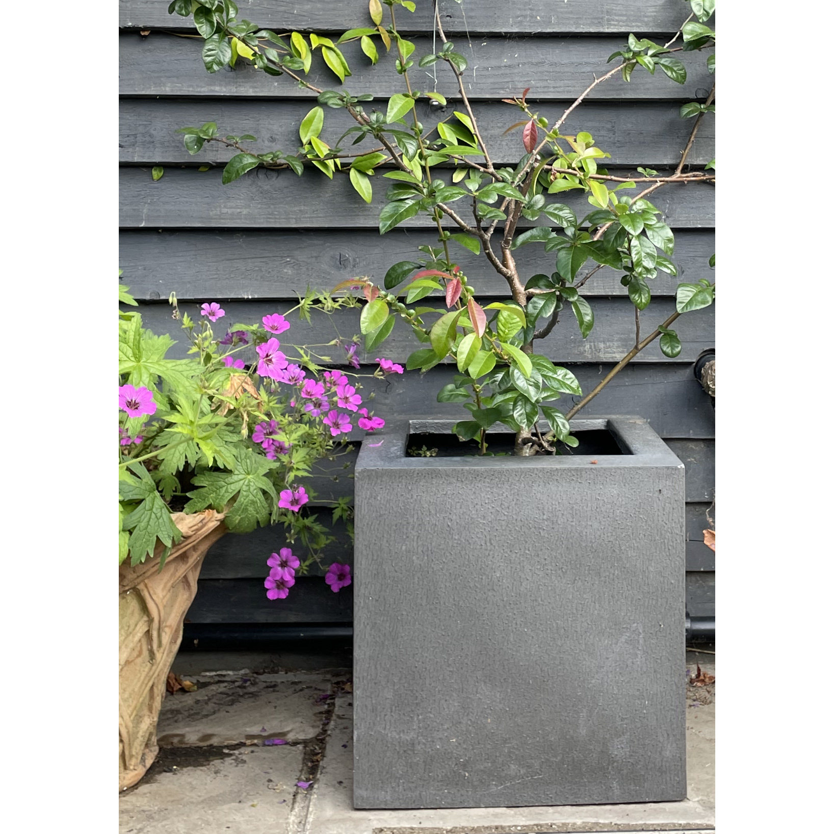 Capital Garden Geo 15" Cube Fiberglass Box Planter | AuthenTEAK