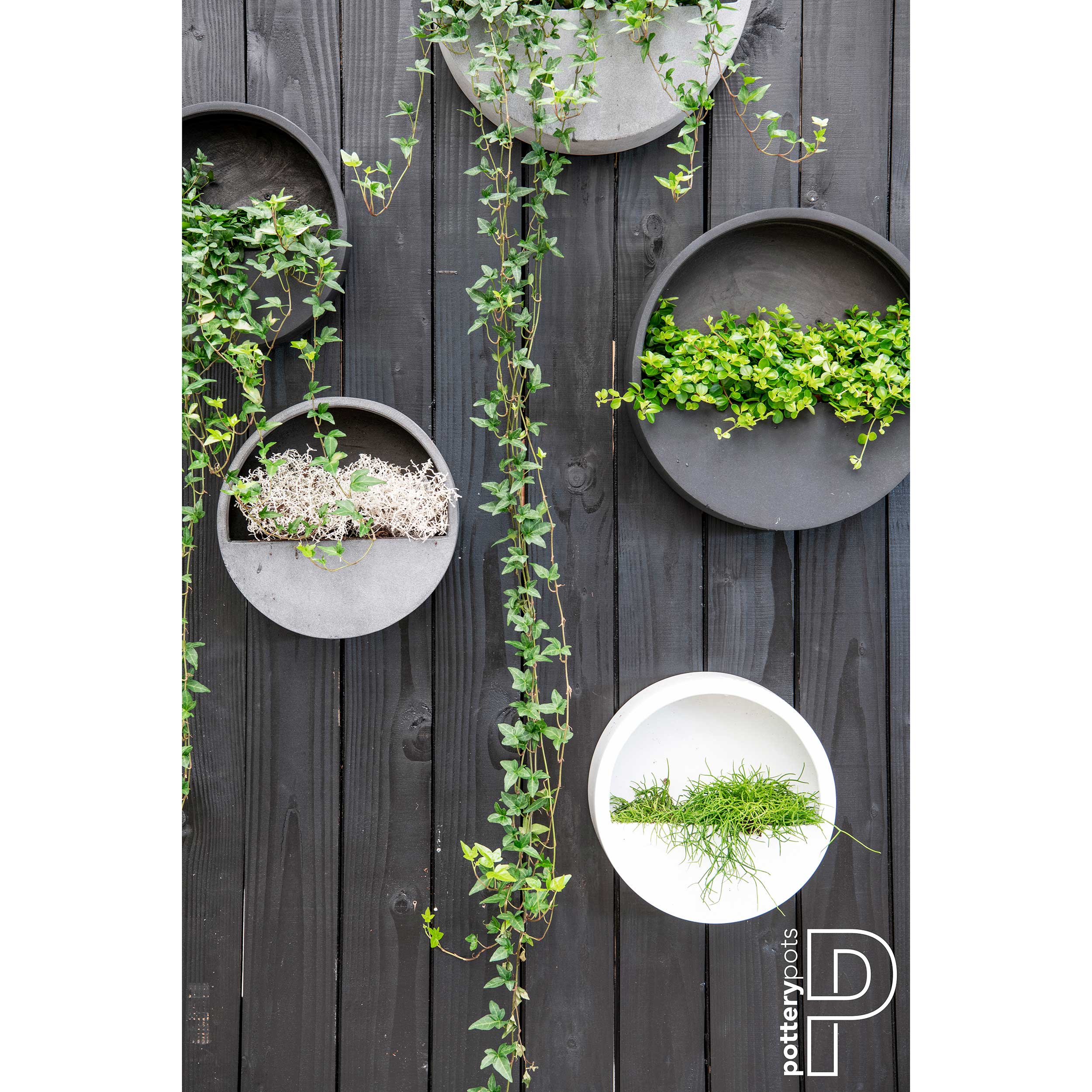 Pottery Pots Natural Wally 12" Round Fiberstone Hanging Planter ...