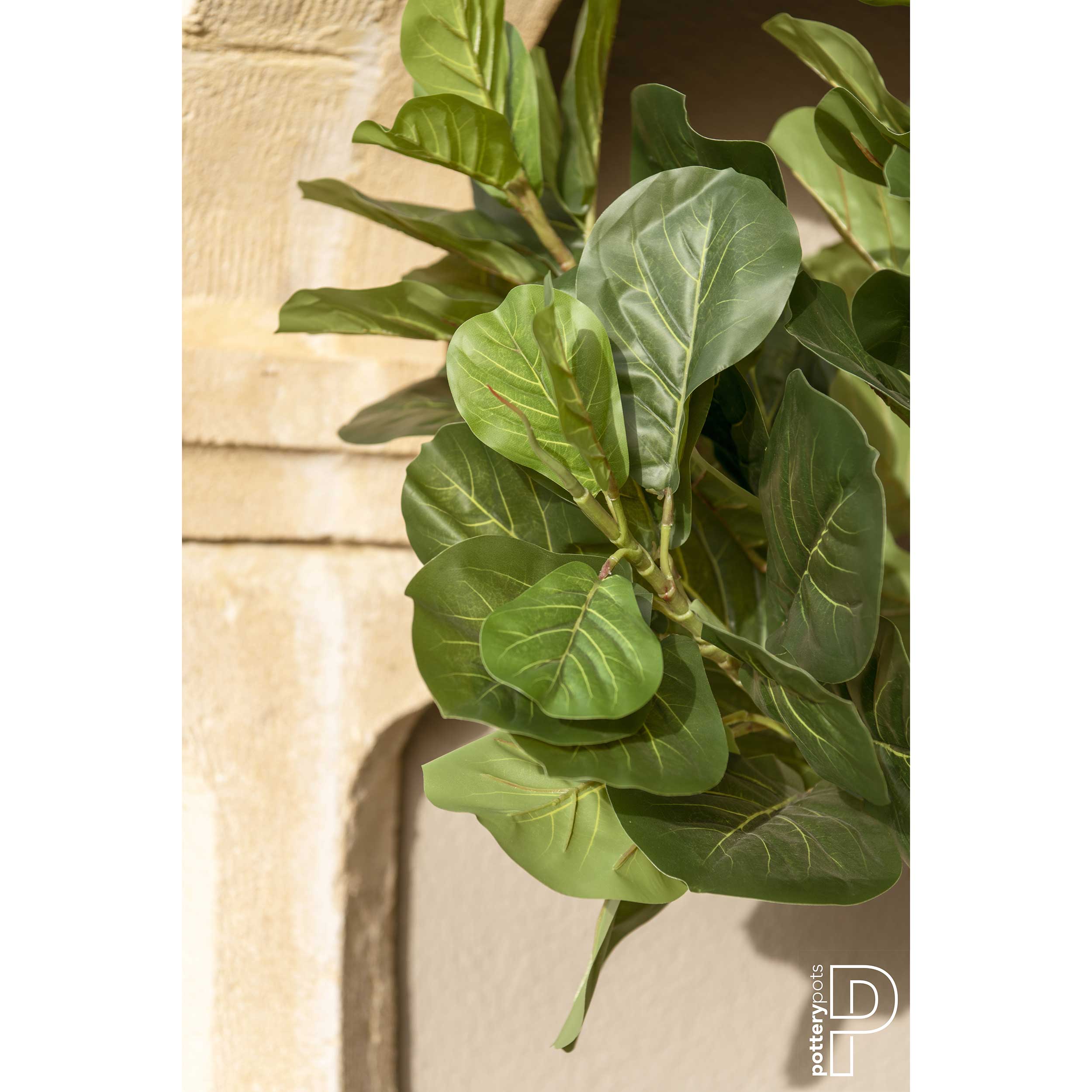 Pottery Pots 59" Faux Ficus Lyrata Plant | AuthenTEAK