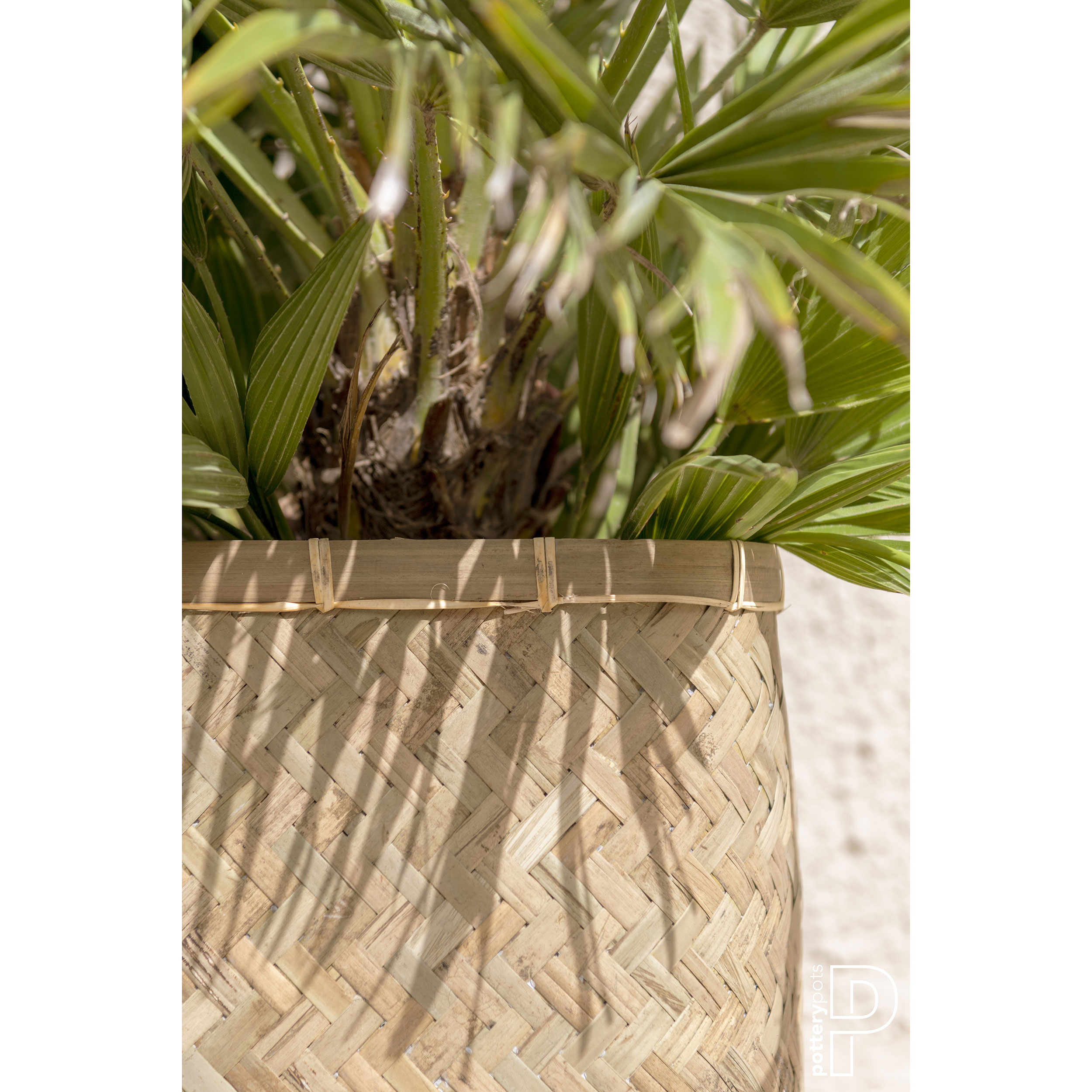 Pottery Pots Bohemian Rafi 24" Rectangular Bamboo Trough Planter ...