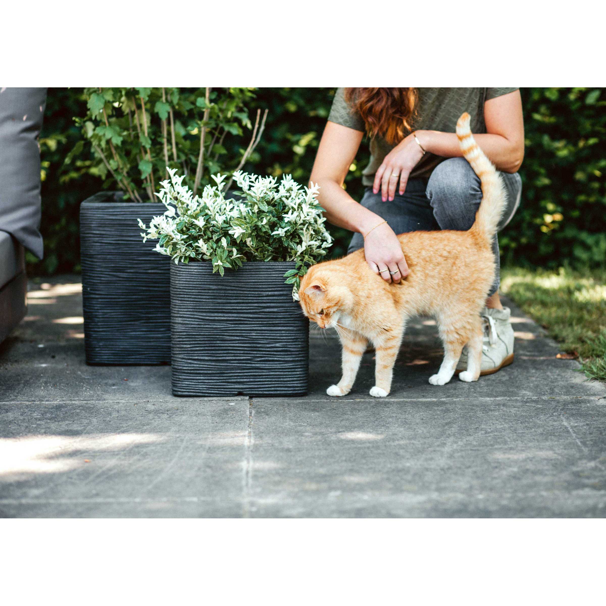 Capi Nature Rib 16" Square Box Planter - Black | AuthenTEAK