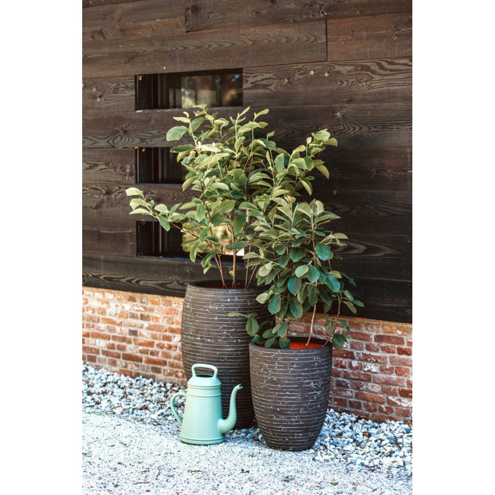 Capi Nature Elegant Deluxe Low Row Vase Planter - Black | AuthenTEAK
